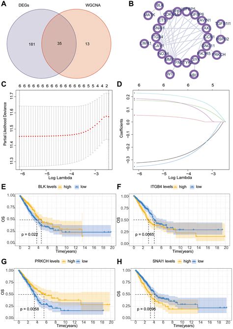 the integration of multi omics analysis and machine learning for the