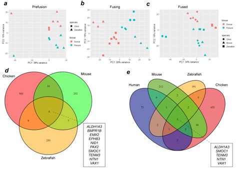 Combined Transcriptome Analysis Across Vertebrate Species Reveals