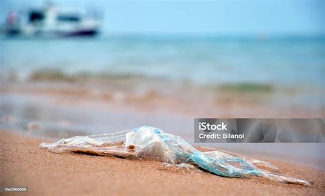 모래 사장에 비닐 봉지 쓰레기를 남겼습니다 비어 있는 바닷가에 더러운 쓰레기를 사용했습니다 환경 오염 생태 문제 가방에 대한 스톡 사진 및 기타 이미지 Istock