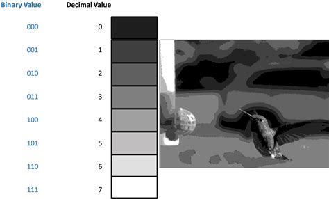 Bit Depth For High Speed Cameras Fastec Imaging