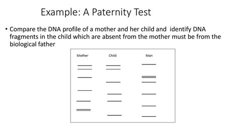 Ch 20 Biotech Ppt Download