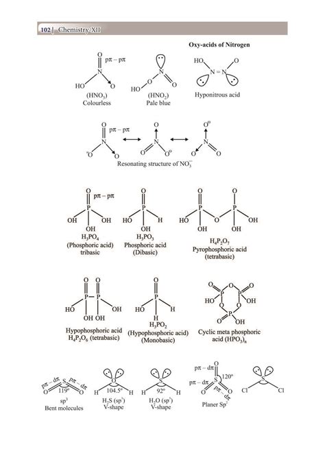 Cbse Notes Class 12 Chemistry The P Block Elements Artofit