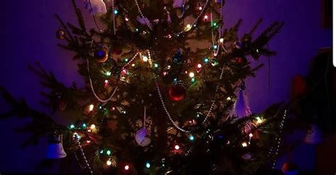 Treehd Album On Imgur