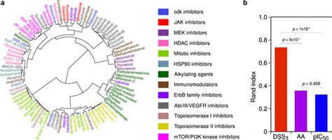Unsupervised Clustering Of The Compounds Based On Their Drug Response Download Scientific