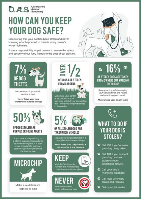 How Can You Keep Your Dog Safe? - Oxfordshire Animal Sanctuary
