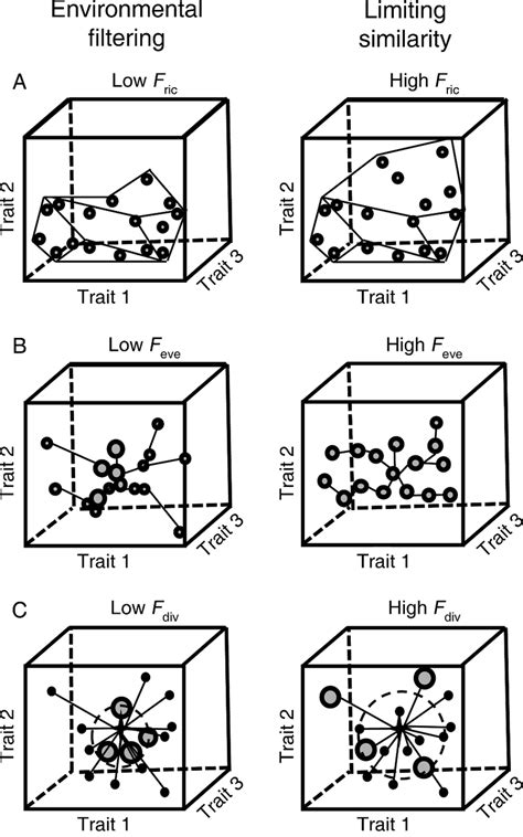 Three Multivariate Indices For Measuring Functional Diversity Within