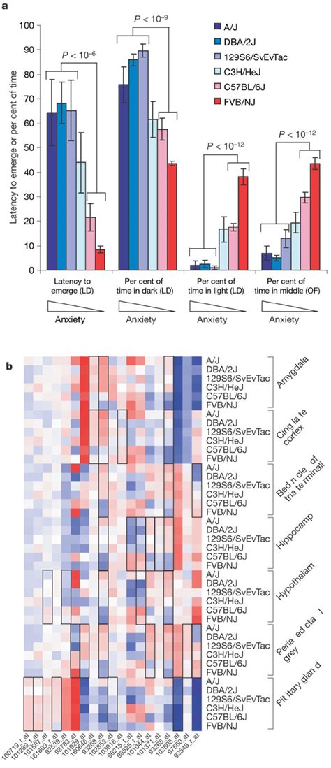 Inbred Mouse Strains Have Different Levels Of Anxiety Related Download Scientific Diagram