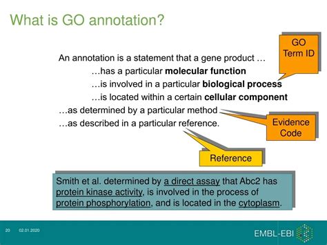 Ppt Gene Ontology Annotation Of Immune System Genes For Enhanced Research Insights Powerpoint