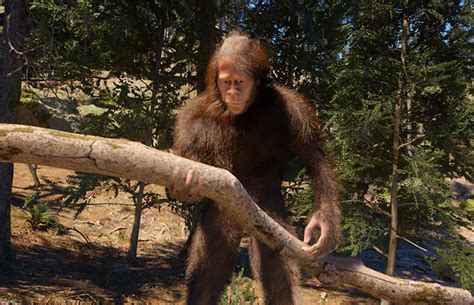 Bigfoot Game Yellowstone Park Bigfoot Game Wiki Fandom