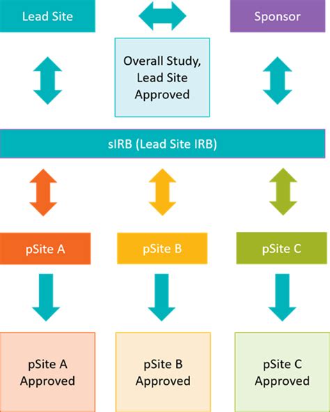 Sirb What Is Single Unmc Guides