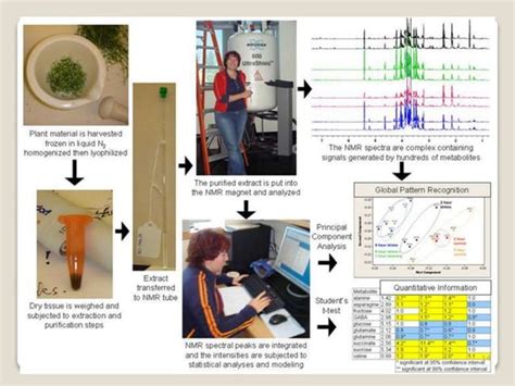 Met Ev 2 Pptx Metabolimics Genomics Approach Ppt