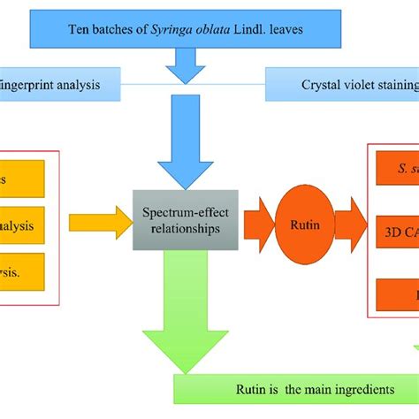 The Experimental Flow Chart Download Scientific Diagram