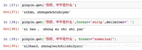 汉字拼音转换工具 Pypinyin 和pinyin 安装使用比对记录pinyin Pypinyin 区别 Csdn博客