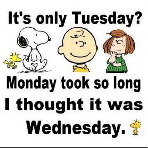 Its Only Tuesday Tuesday Humor Tuesday Quotes Snoopy Quotes