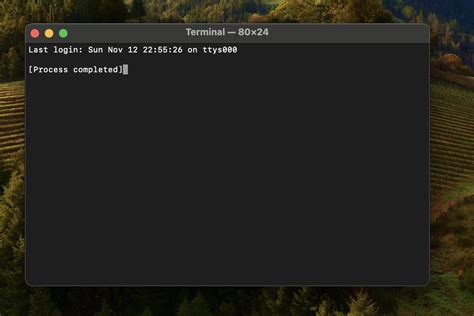 My Terminal Has Became Useless After Inst Apple Community