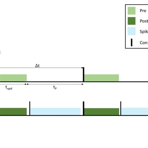 Representation Of Neural Processing The Schematic Of A Snn Composed
