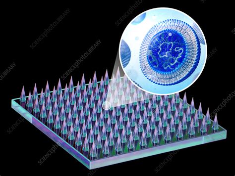 Microneedle Mrna Vaccine Illustration Stock Image F0431208