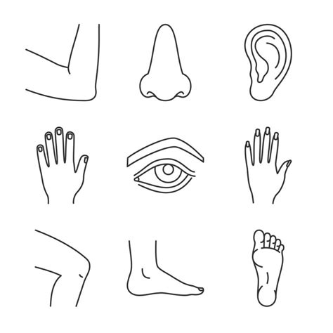 Cartoon Pictures Of The Outline Of Body Parts Body Parts Diagram