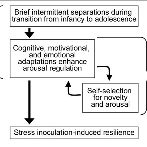 developmental cascade model of stress inoculation induced resilience