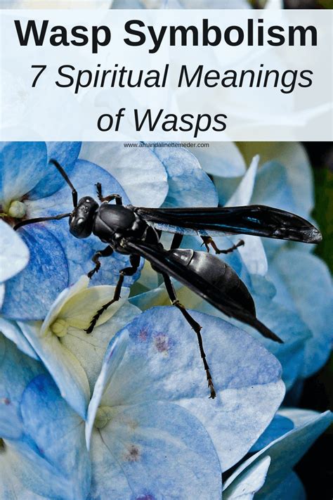 Wasp Spiritual Meaning Wasp Meaning Oijxja