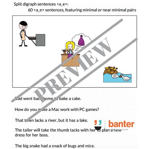Reading Resource Split Digraph Silent E Minimal Pair Sentences A E Words Banter Speech