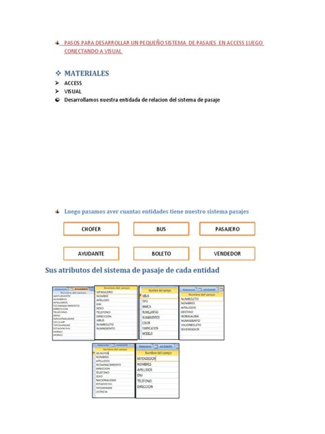 pasos para programar access a visual pdf