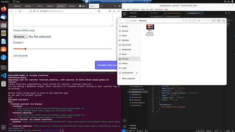 Unable To See Images In Icp When Using The Browse Button Developers