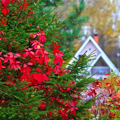 Promoting Public Trust Part 10 Unacceptable Assignment Conditions