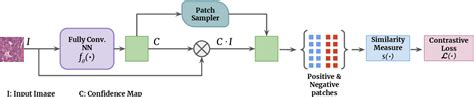 figure 1 from efficient self supervision using patch based contrastive