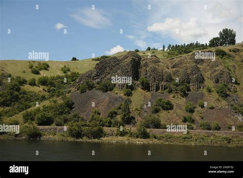 River Wateridahousa 23june 2018clearwater River And Pine Treet Both Side The River Photo