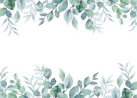 Eucalyptus Leaves Wallpaper At Kaitlyn Maund Blog