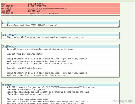 sap报错 exception condition “cntl error“ triggered cntl error csdn博客