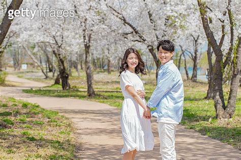 커플 인간관계 봄 여유로운주말 레저활동 벚꽃 데이트 손잡기 홀딩 뒤돌아보기 응시 미소 이미지