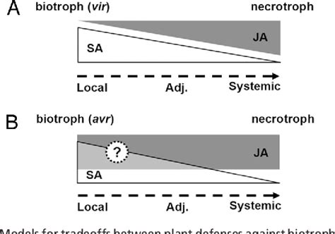 Figure 4 From Explorer Regulation Of Tradeoffs Between Plant Defenses Against Pathogens With