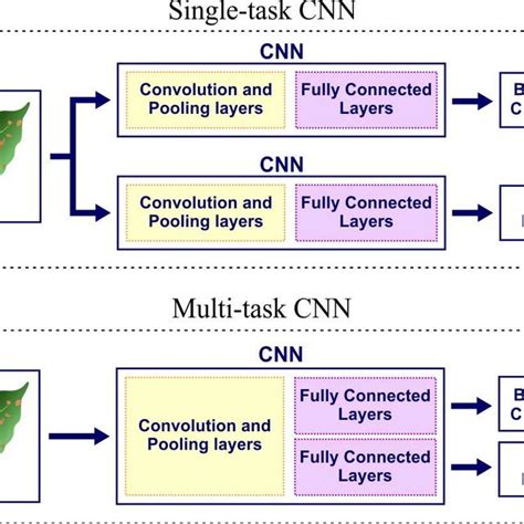 Framework Used For Single Task And Multi Task Learning Download Scientific Diagram