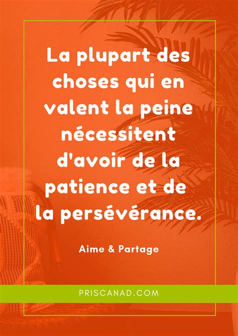 La Plupart Des Choses Qui En Valent La Peine Nécessitent Davoir De La Patience Et De La