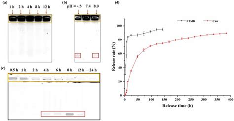 Nanomaterials Special Issue Synthesis Properties And Applications Of Polymeric Nanomaterials