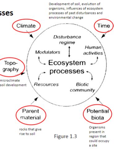 GEOG 283 Midterm Exam Flashcards Quizlet GEOG 283 Midterm Exam Flashcards Quizlet