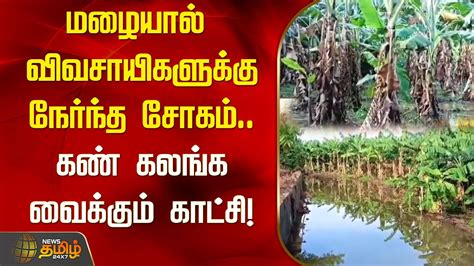 மழையால் விவசாயிகளுக்கு நேர்ந்த சோகம் கண் கலங்க வைக்கும் காட்சி