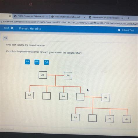 Drag Each Label To The Correct Location Complete The Possible Outcomes
