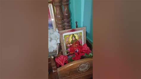 মার ঠাকুরের আসন ফুল দিয়ে খুব সুন্দর সাজিয়েছে Youtube