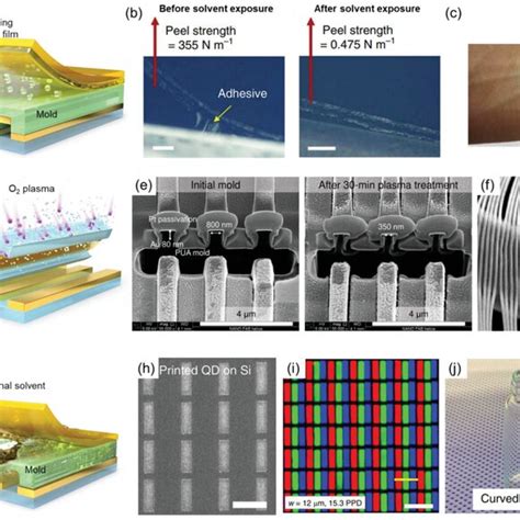 Ntp Based On Fsubstrate Strengthening A Schematic Illustration Download Scientific Diagram