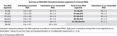 √無料でダウンロード！ Double Stranded Rna Virus Examples 284764 Double Stranded