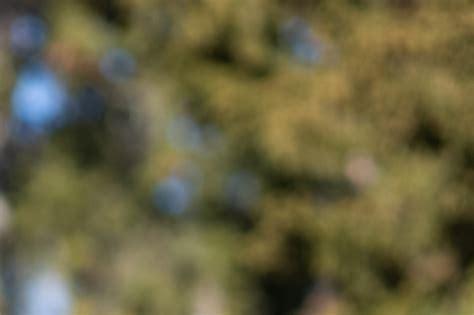 Thypoch Simera Mm Bokeh Comp Thypoch Crop Bokeh