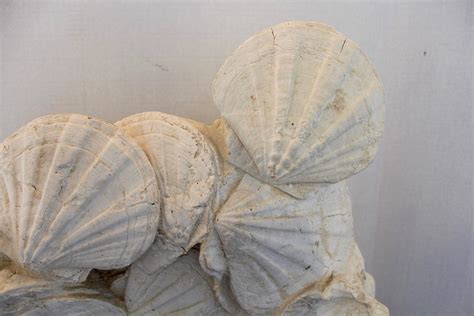 Prehistoric Shell Fossil Specimen Sculpture For Sale At Stdibs