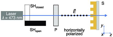 Schematic Draw Of The Experimental Setup The Linear Polarization Download Scientific Diagram