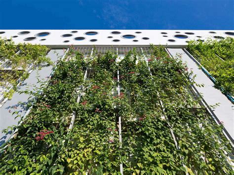 Wandgebundene Fassadenbegrünung Stadt Und Dachbegrünung Vegetation Baunetz Wissen Wandgebundene Fassadenbegrünung Stadt Und Dachbegrünung Vegetation Baunetz Wissen