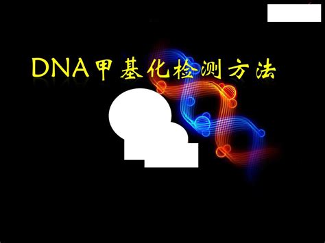 DNA甲基化检测方法 word文档在线阅读与下载 免费文档