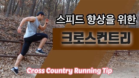 크로스컨트리 뛰는 이유 스피드를 향상시키고 발목 강화를 위해서는 축구선수 야구선수들도 해야하는 훈련법단거리 육상 선수가 하는 크로스컨트리 훈련방법 Youtube