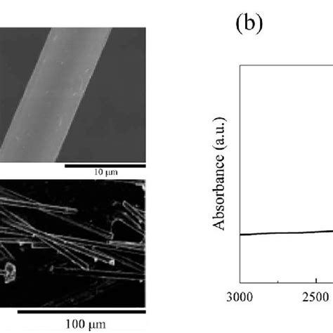A Scanning Electron Microscopy Image And B Fourier Transform Download Scientific Diagram